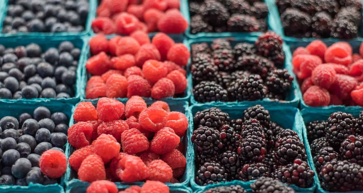 10 gesunde Snacks für zwischendurch – einfache & leckere Rezepte